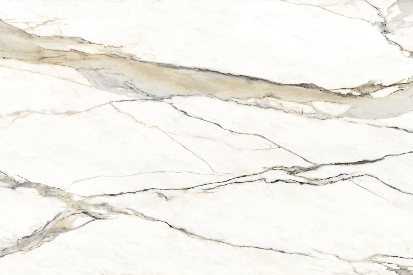 Nuovocorso Hond & Polished - Gatenio